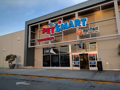 16 Best Dog Stores in Los Angeles | LosAngeles10